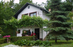 Na prodaju 2-etažna kuća - 64m2- Sremska Kamenica