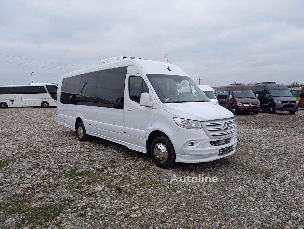 Mercedes-Benz Sprinter 519 putnički minibus
