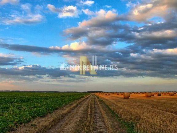 Prodaje se poljoprivredno zemljište – Bačka Topola (okolina)