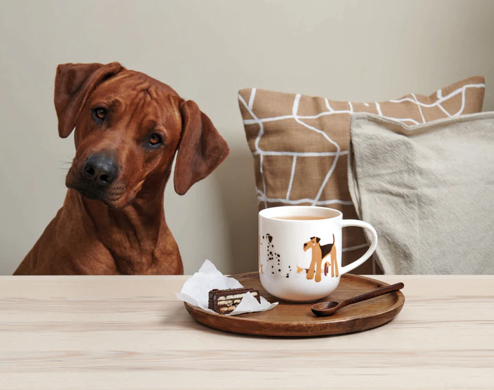 ŠOLJA ZA ČAJ,KAFU – COPPA mug, dogs