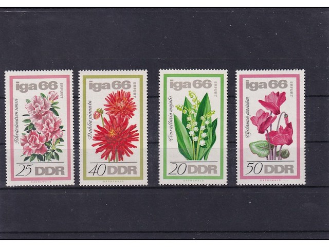 DDR Flora 1966