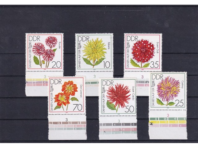 DDR Flora 1979