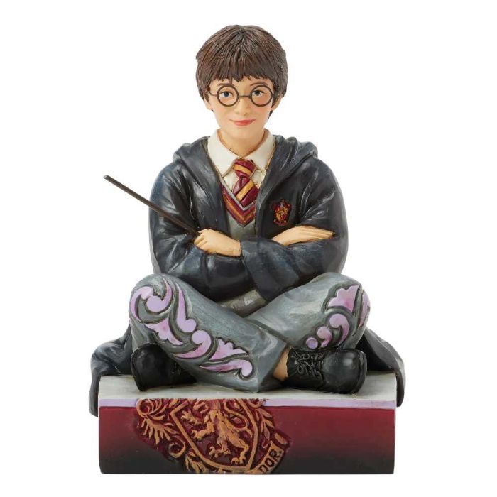 Harry Potter - The Chosen One - Harry Personality Pose