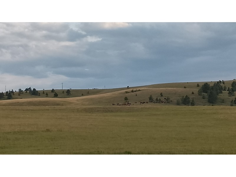 Usluge odrzzavanja ZLATIBOR
