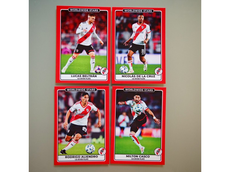 RIVER PLATE lot 4 kartice - Technique 2024