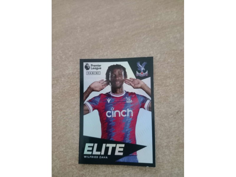 Premijer liga 2023 Panini br.319