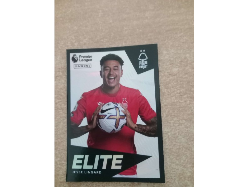 Premijer liga 2023 Panini br.328