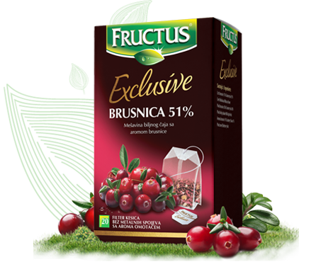FRUCTUS FILTER ČAJ BRUSNICA 51 %