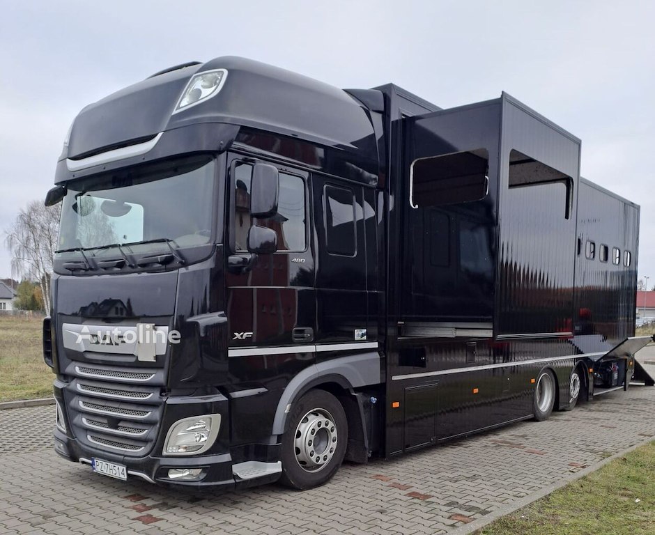 DAF XF 480 kamion za prevoz konja