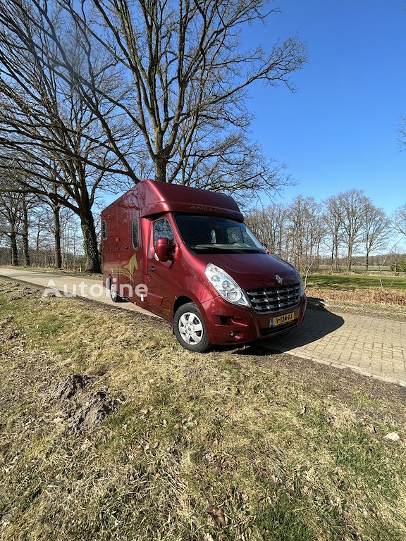 Renault Master vozilo za prevoz konja