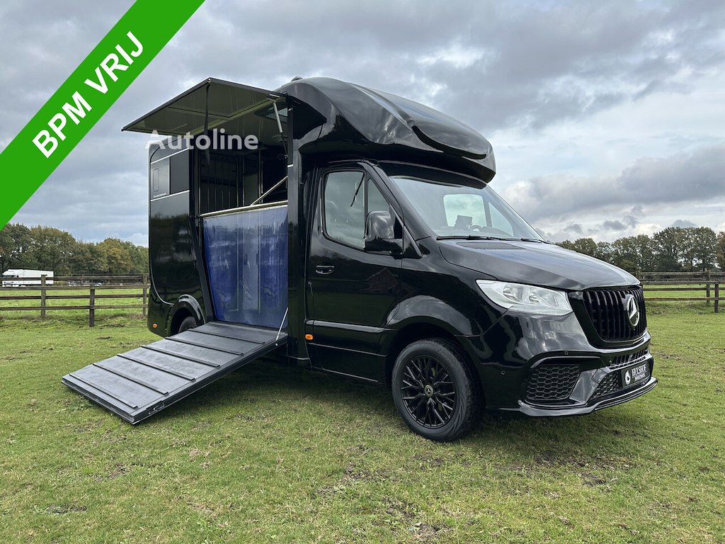 Mercedes-Benz Sprinter 317 AMG 2-paards paardenvrachtwagen vozilo za prevoz konja