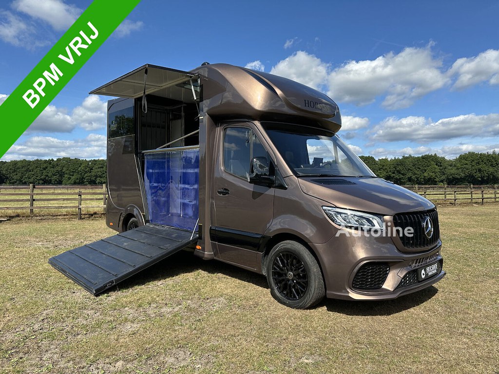 Mercedes-Benz Sprinter 319 AMG 2-paards paardenvrachtwagen vozilo za prevoz konja