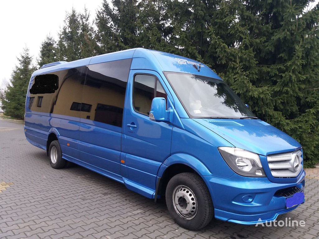 Mercedes-Benz Sprinter 519 putnički minibus