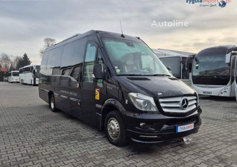 Mercedes-Benz SPICA/ SPRINTER/ SPROWADZONY/ 3.0 SILNIK putnički minibus