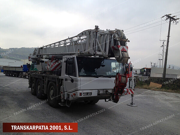 Tadano na šasiji Tadano Faun ATF 45 autodizalica