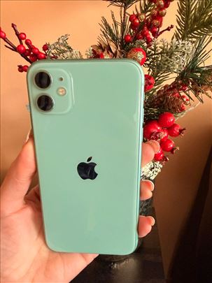 Iphone 11 pastelno zelena boja