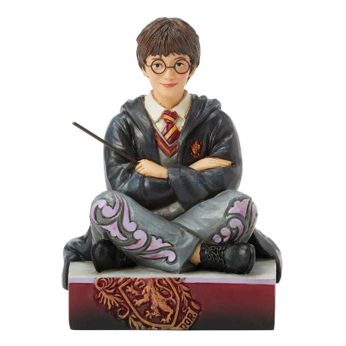 Harry Potter - The Chosen One - Harry Personality Pose
