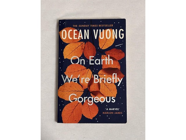 On Earth We`re Briefly Gorgeous - Ocean Vuong