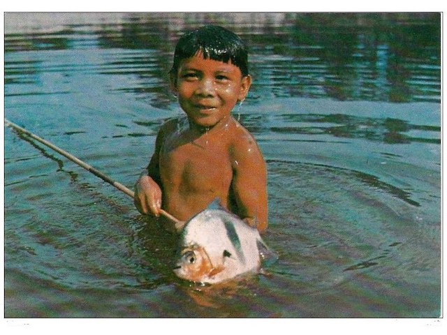 Tuatuari River,Brasil,Native Reserv of Xingu