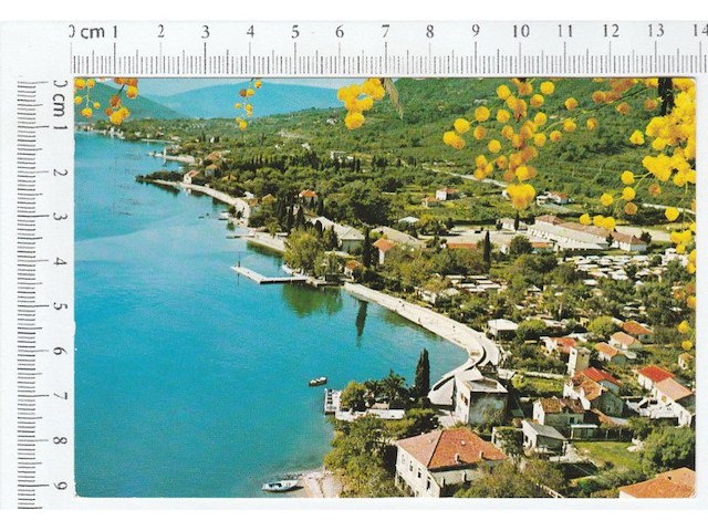 Baošić - Boka Kotorska - Praznik mimoze