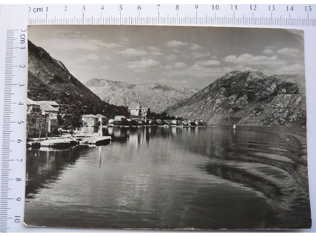 Kotor