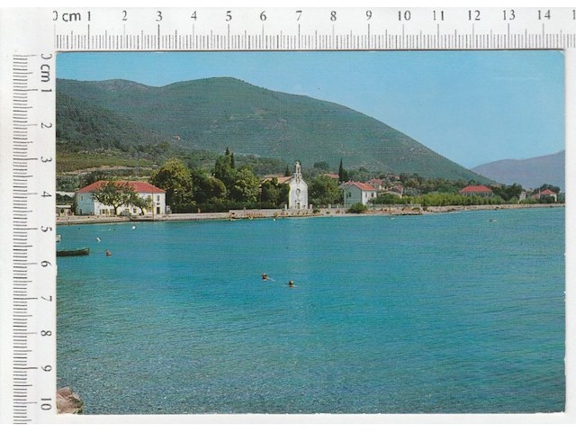 Đenović