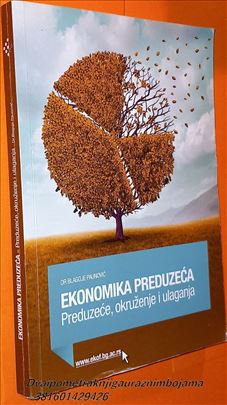 Ekonomika preduzeća Preduzeće okruženje i ulaganje