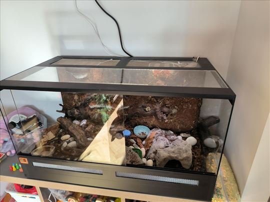 Terarijum / terarium