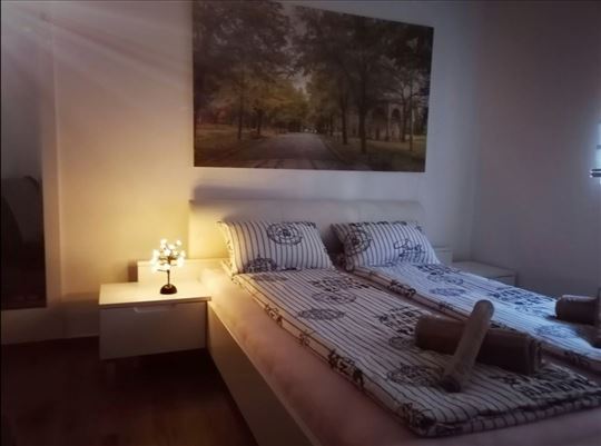Niš, apartman CENTAR 31.12 i 01 zauzet