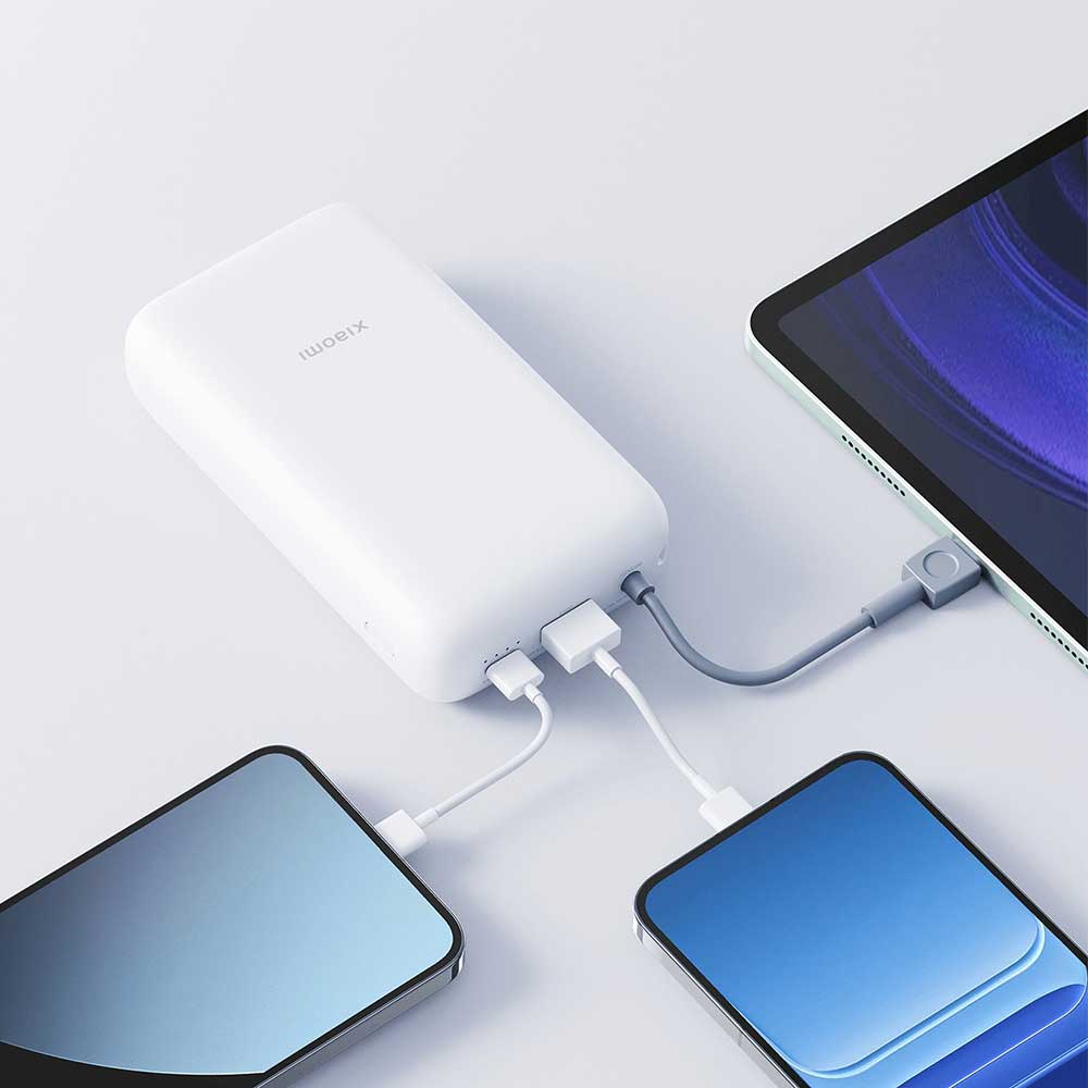 Mi Power Bank 20000mAh (Integrated Cable) GL Light Gray