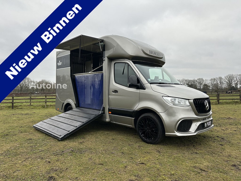 Mercedes-Benz Sprinter 319 AMG 2-paards paardenvrachtwagen vozilo za prevoz konja