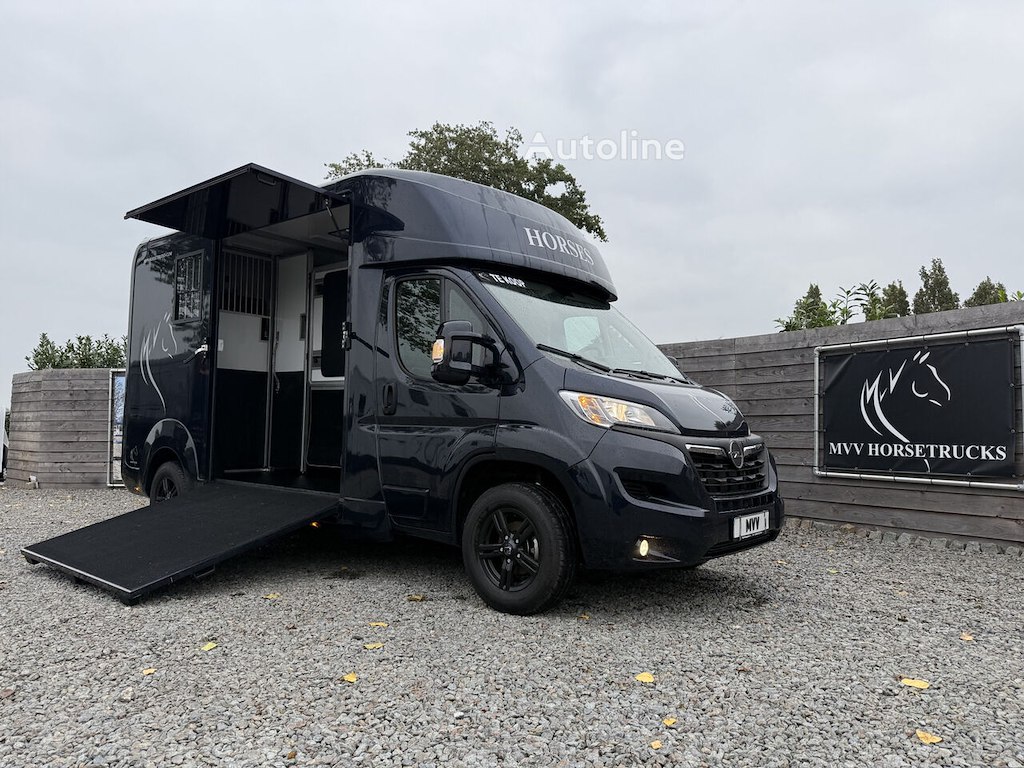 Opel MOVANO HORSETRUCK STX AKX 3XL BLUE vozilo za prevoz konja