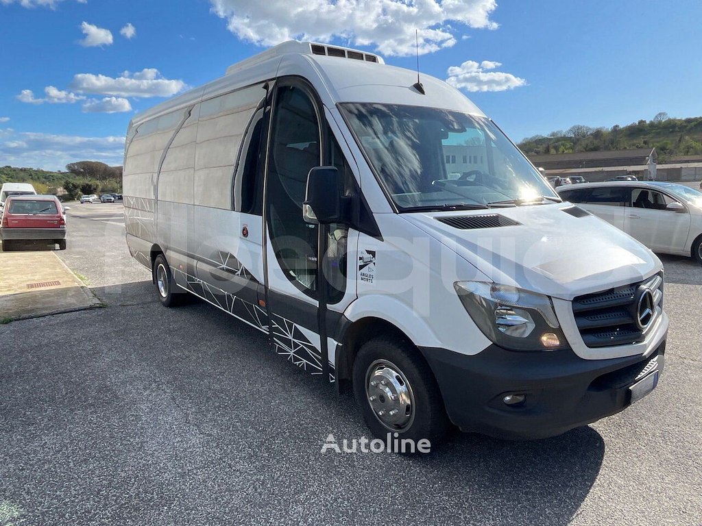 Mercedes-Benz Sprinter putnički minibus