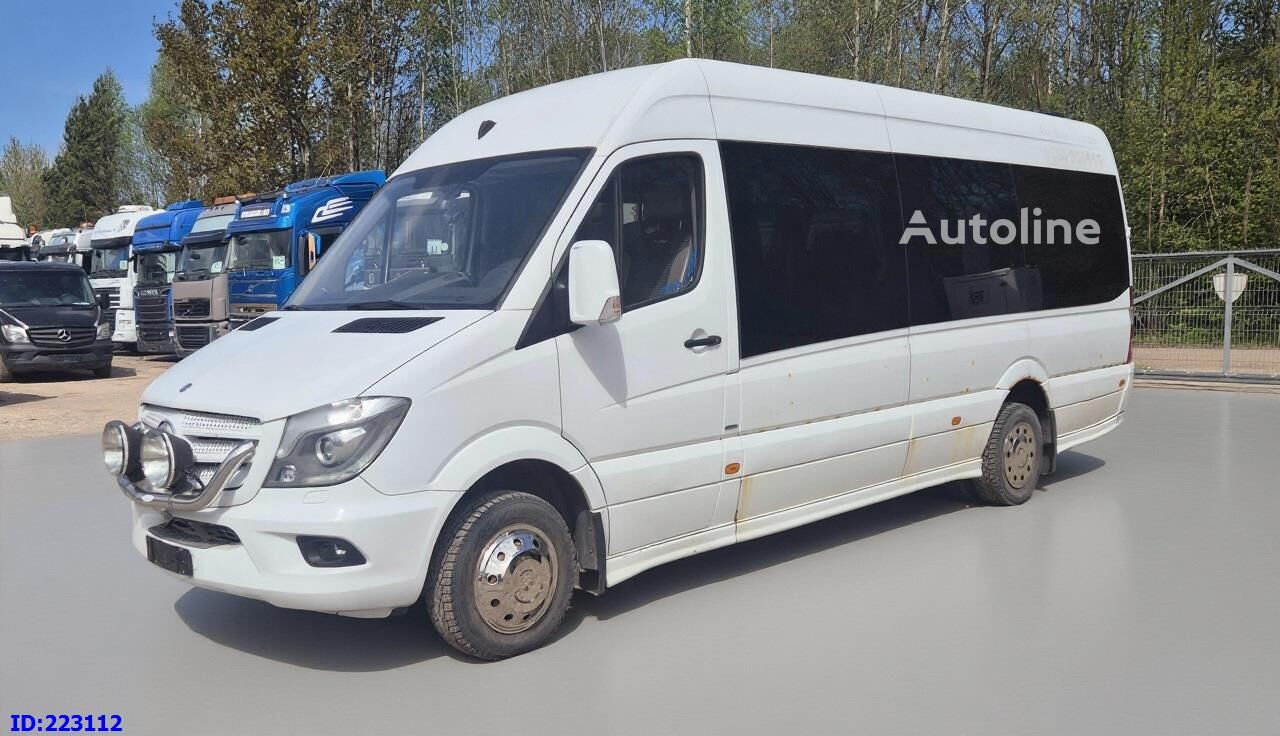 Mercedes-Benz Sprinter 516 - Prostyle VIP putnički minibus