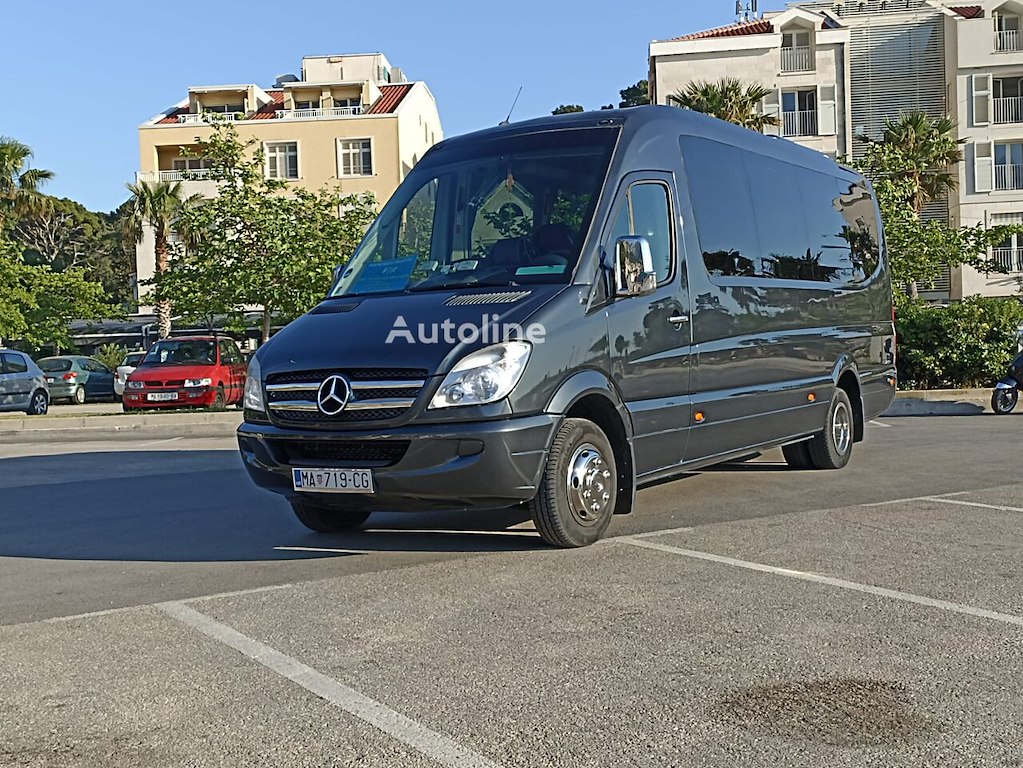 Mercedes-Benz Sprinter 519 Sunset putnički minibus