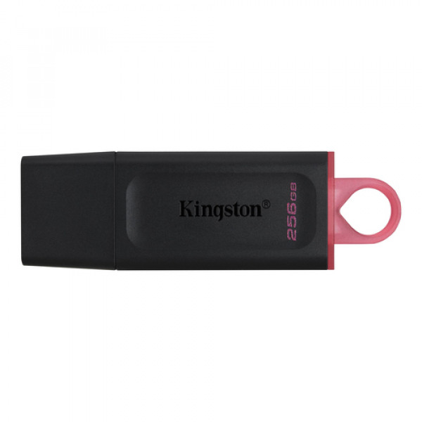Kingston usb flash DTX/256GB