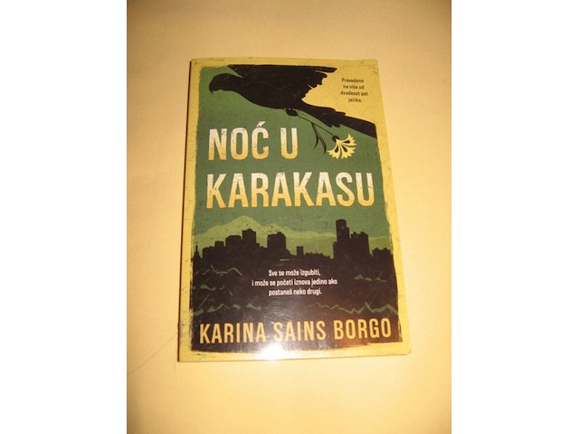 Noć u Karakasu - Karina Sains Borgo