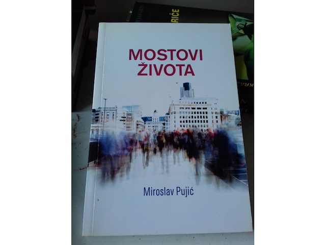 Mostovi života, Miroslav Pujić