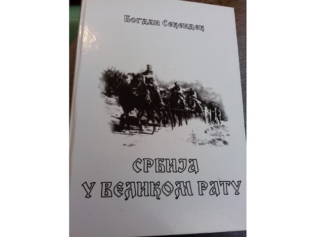 Srbija u Velikom ratu, Bogdan Sekendek. Šabac i okolina