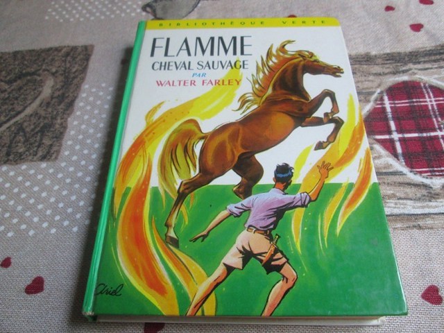 Flamme cheval sauvage - Walter Farley