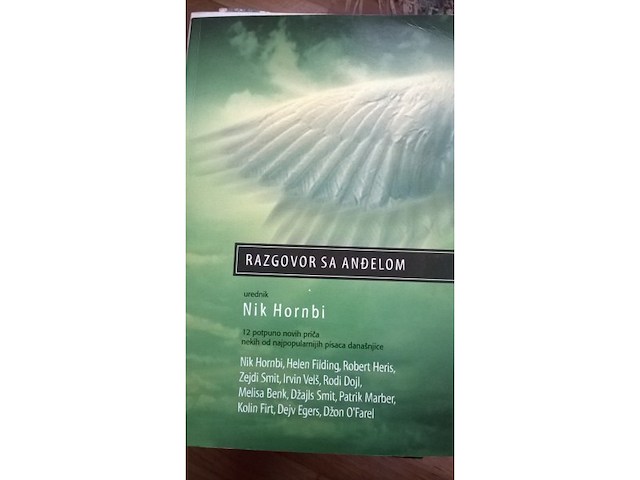 Razgovor sa anđelom. Nik Hornbi