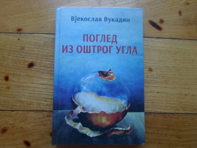 VJEKOSLAV VUKADIN - POGLED IZ OŠTROG UGLA  RETKO