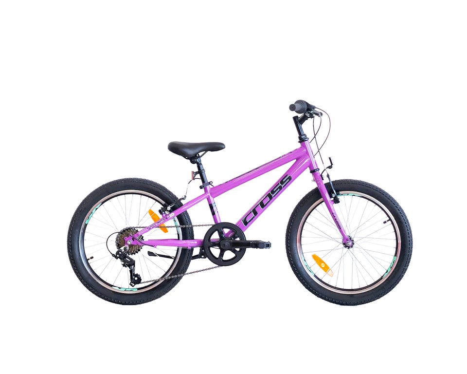 20" CROSS SPEEDSTER STEEL Purple