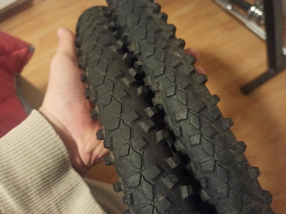 Schwalbe Smart Sam x2