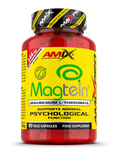 AMIX MAGTEIN (MAGNESIUM L-THREONATE)
90 KAPSULA