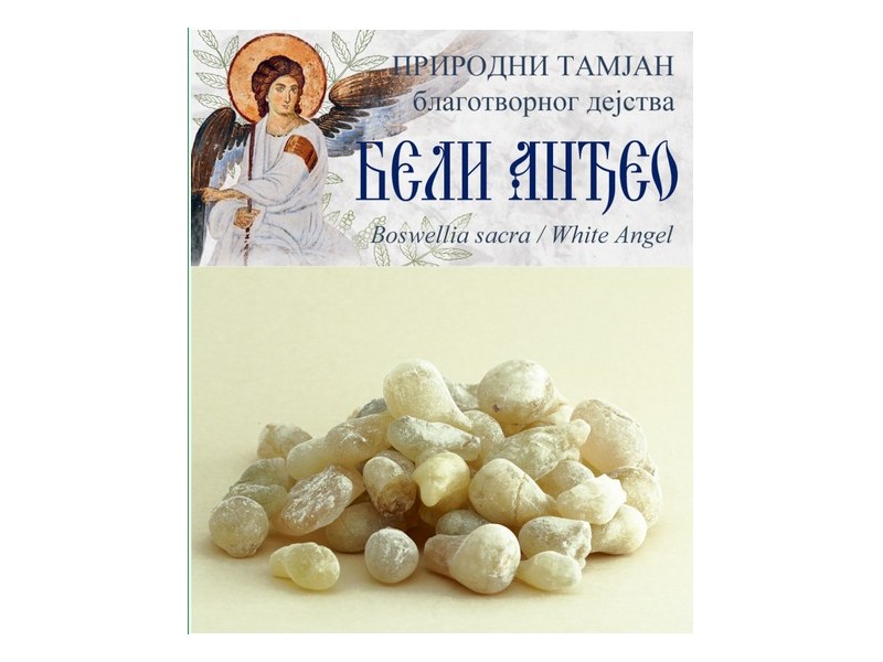 Tamjan Beli Anđeo - Boswellia Sacra
