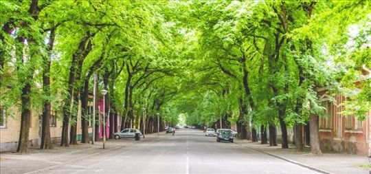 Stara gradska kuća u jednoj od najlepših ulica