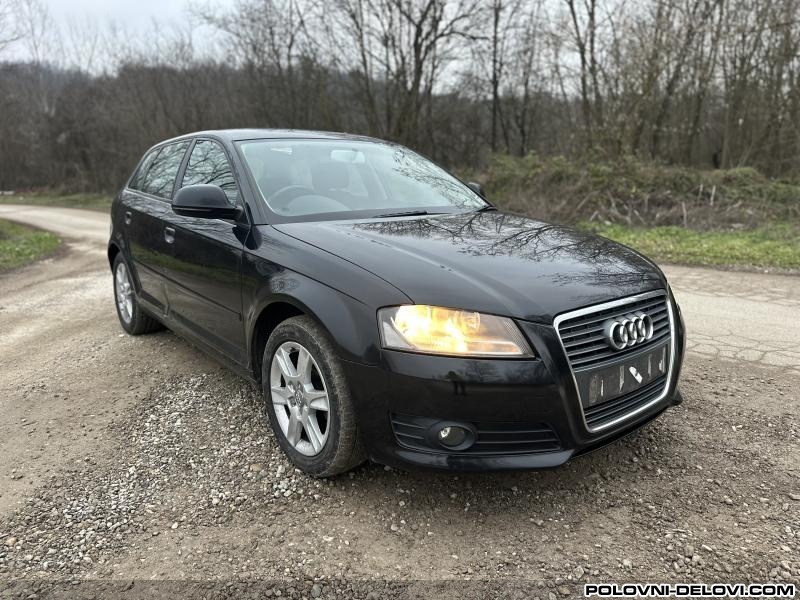 Audi A3 1.6 Tdi CAYC Motor I Delovi Motora
