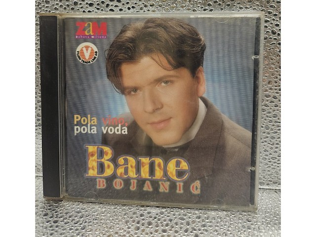 BANE BOJANIĆ POLA VINA POLA VODE