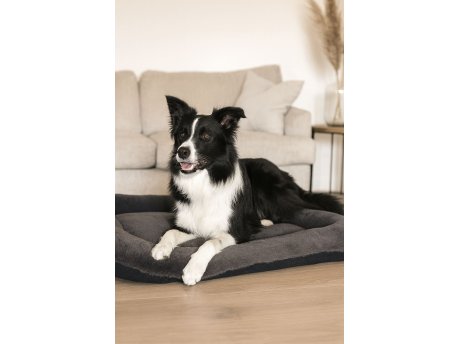 Paws & Whiskers Krevet za ljubimce Sally Dog 55 x 75 Anthracite